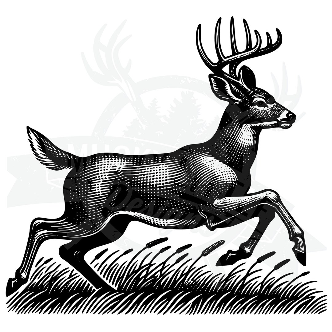 Svg White Tailed Deer Running, Buck SVG, Detailed Deer Svg, Whitetail Deer SVG, Big Buck Svg ...