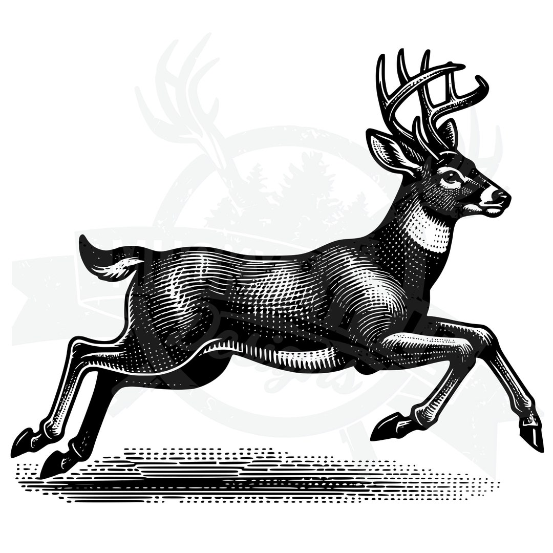 White Tailed Deer Running Svg, Buck SVG, Detailed Deer Svg, Whitetail ...