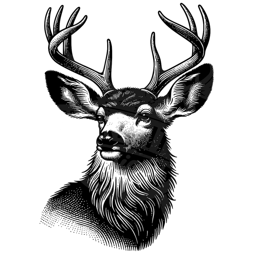 Detailed Mule Deer Svg, Mule Deer Head Svg, Mule Deer SVG, Big Buck Svg ...