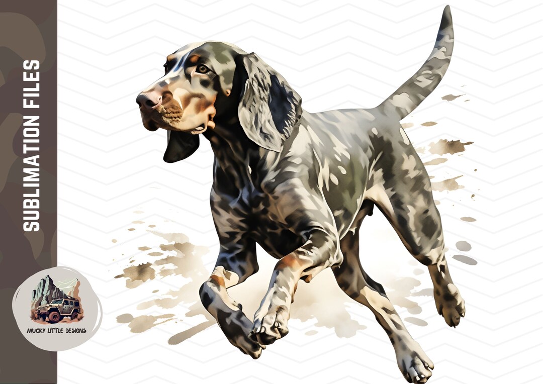 Camo Bluetick Coonhound Png Bluetick Coonhound Art Hunting Dog ...