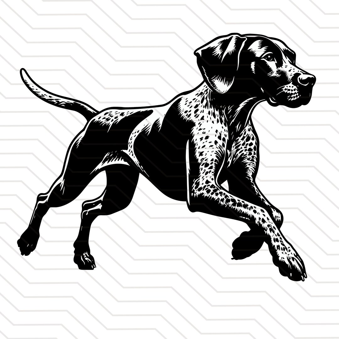 German Short Haired Pointer Svg | Duck Hunting Svg | Hunting Flag Svg ...