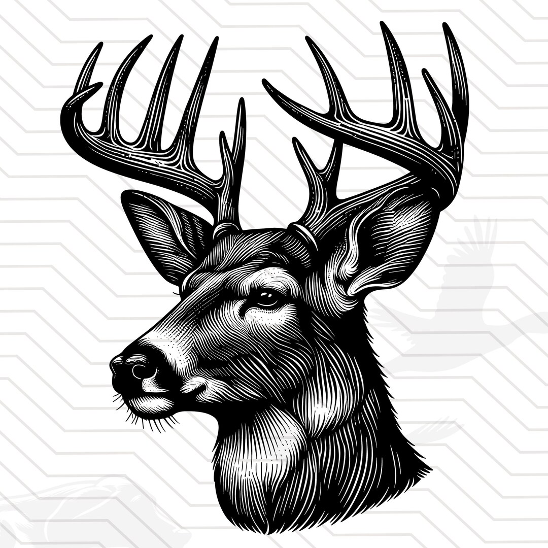 Real Deer Head Svg, Whitetail Deer SVG, Big Buck Digital Download, Deer ...