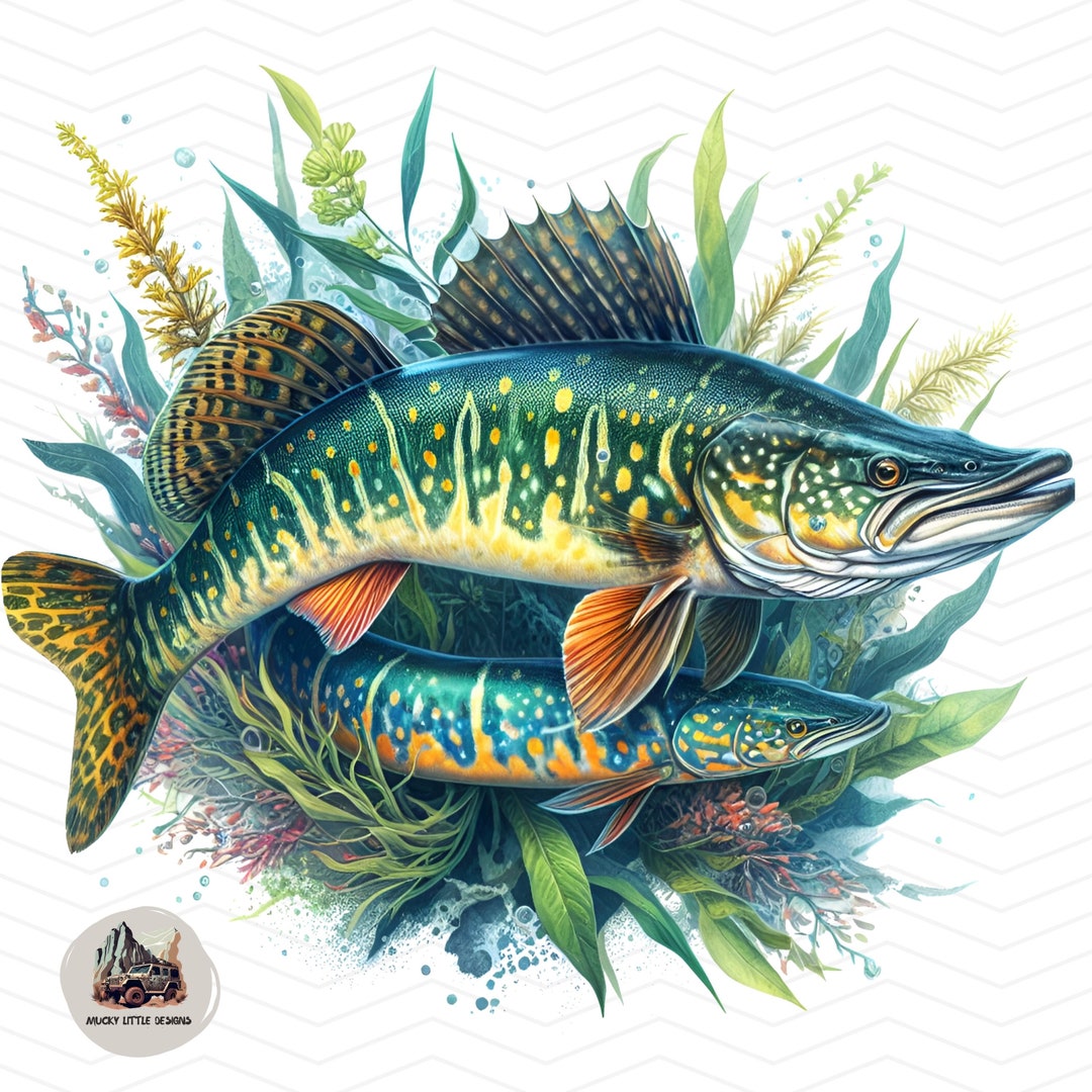 Muskie Image for Shirt Muskellunge Sublimation Muskie Png Watercolor ...