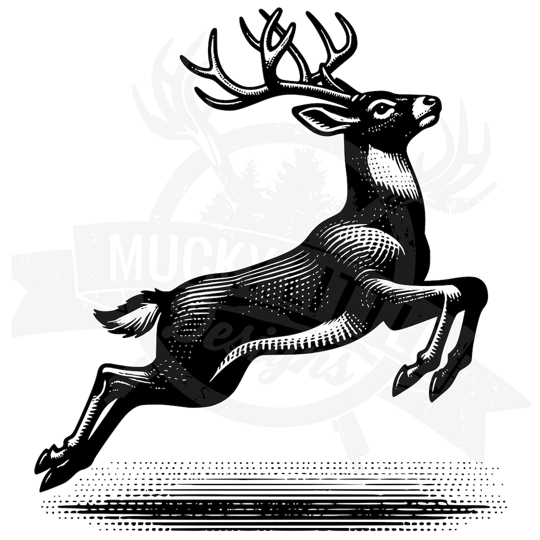 White Tailed Deer Jumping Svg, Buck SVG, Detailed Deer Svg, Whitetail ...