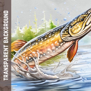 Pike Transparent Background Png Watercolor Pike Fishing Art - Etsy