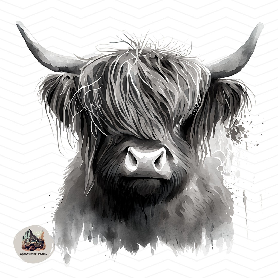 Black and White Highland Cow Png, B& W Highland Cow Png Higland Cow for ...