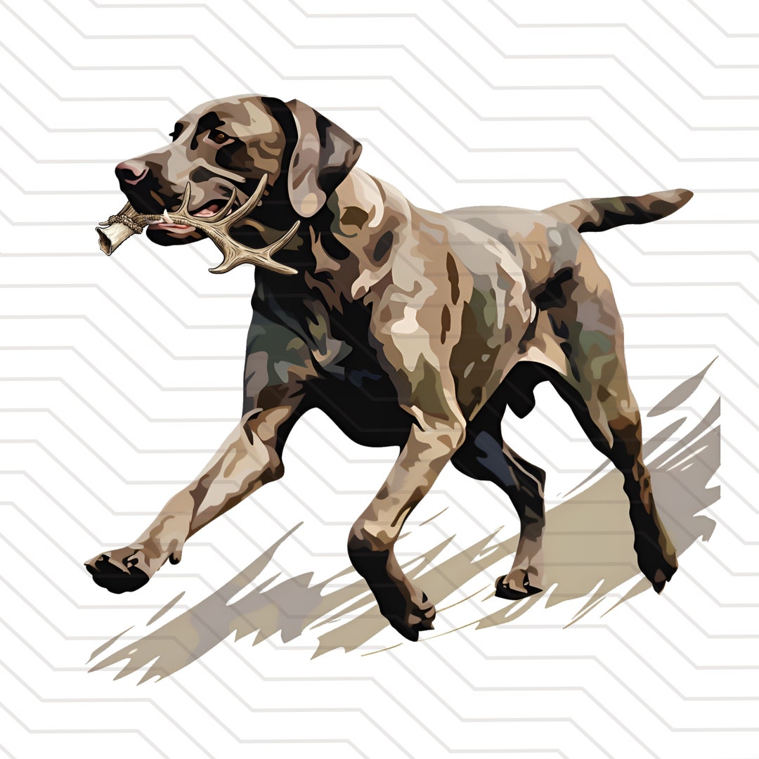 Camo Retriever Png Shed Antler Desgin Hunting Dog Sublimation Design ...