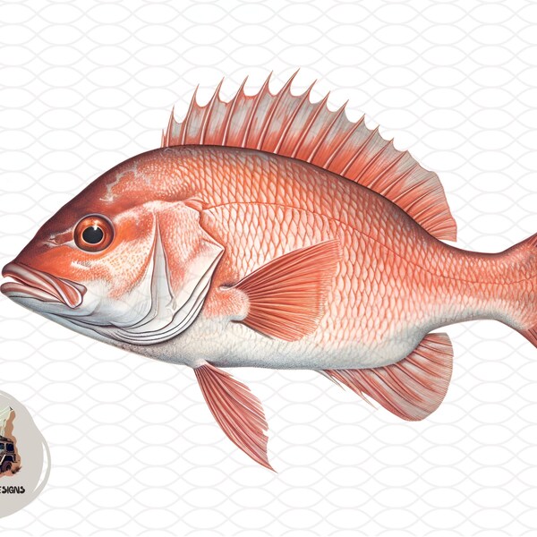 Print of Fish - Etsy