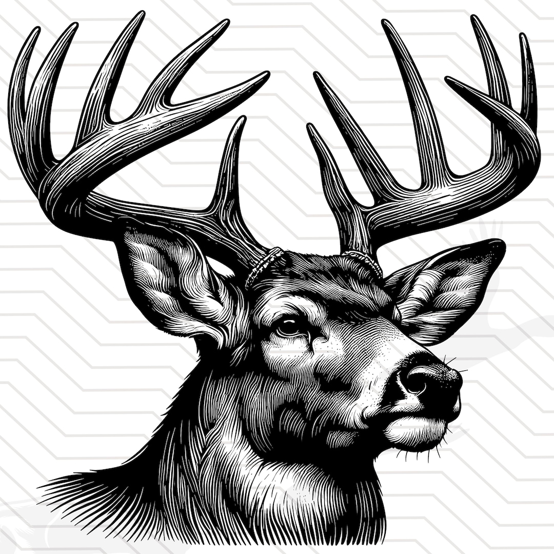 Detailed Deer Head Svg, Whitetail Deer SVG, Big Buck Digital Download ...