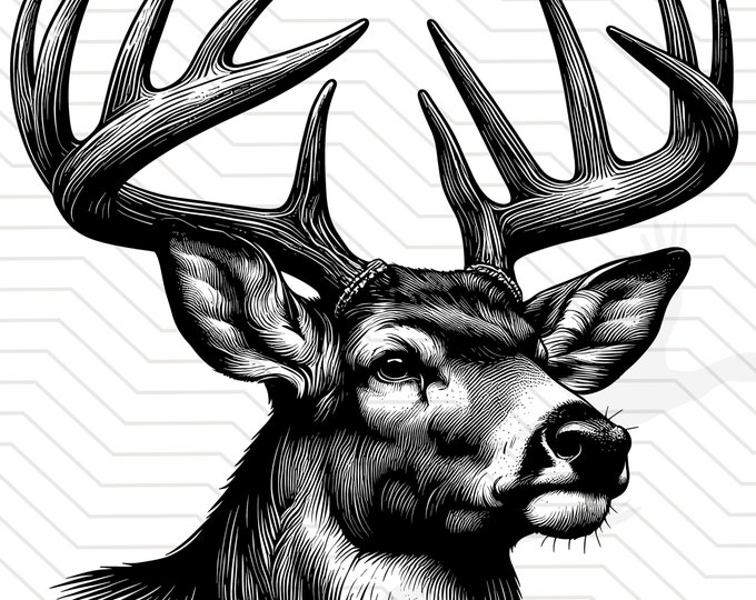 Whitetail Buck Deer SVG, Hunting Svg, Deer Head Svg, SVG Files for ...