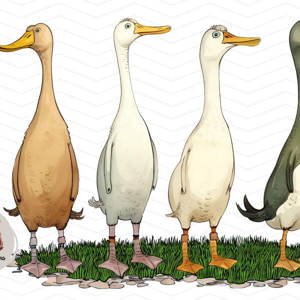 Outdoor Indian Runner Duck Art - Etsy