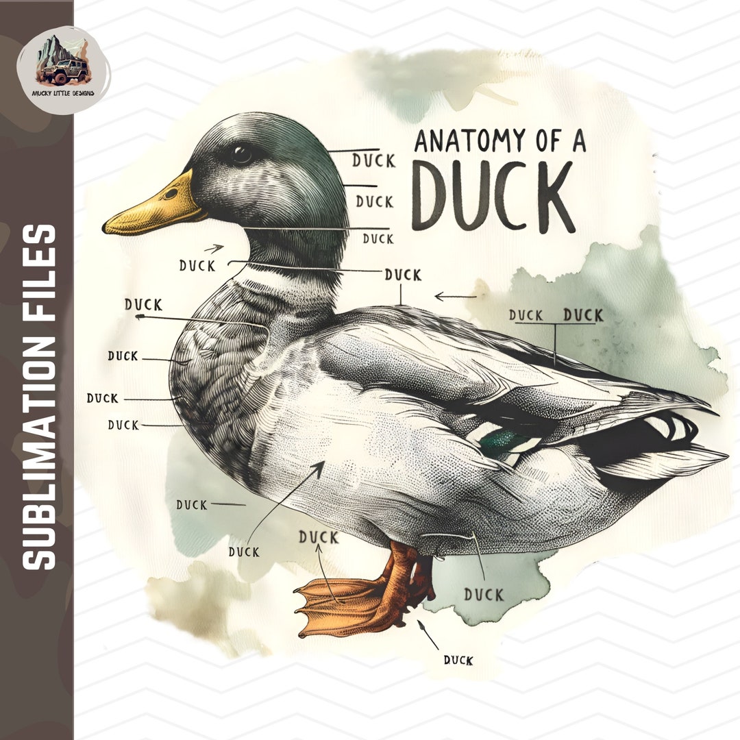 Funny Duck Hunting Design Duck Hunt Sublimation Design Funny Hunting ...