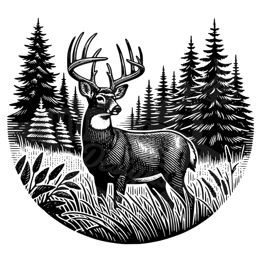 Deer Woods Svg, Detailed Deer Svg, Whitetail Deer SVG, Forest Deer Svg ...