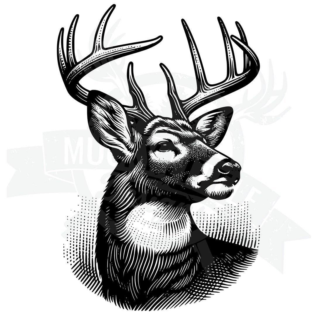 Detailed Buck Head Svg, Buck SVG, Detailed Deer Svg, Whitetail Deer SVG, Big Buck Digital ...