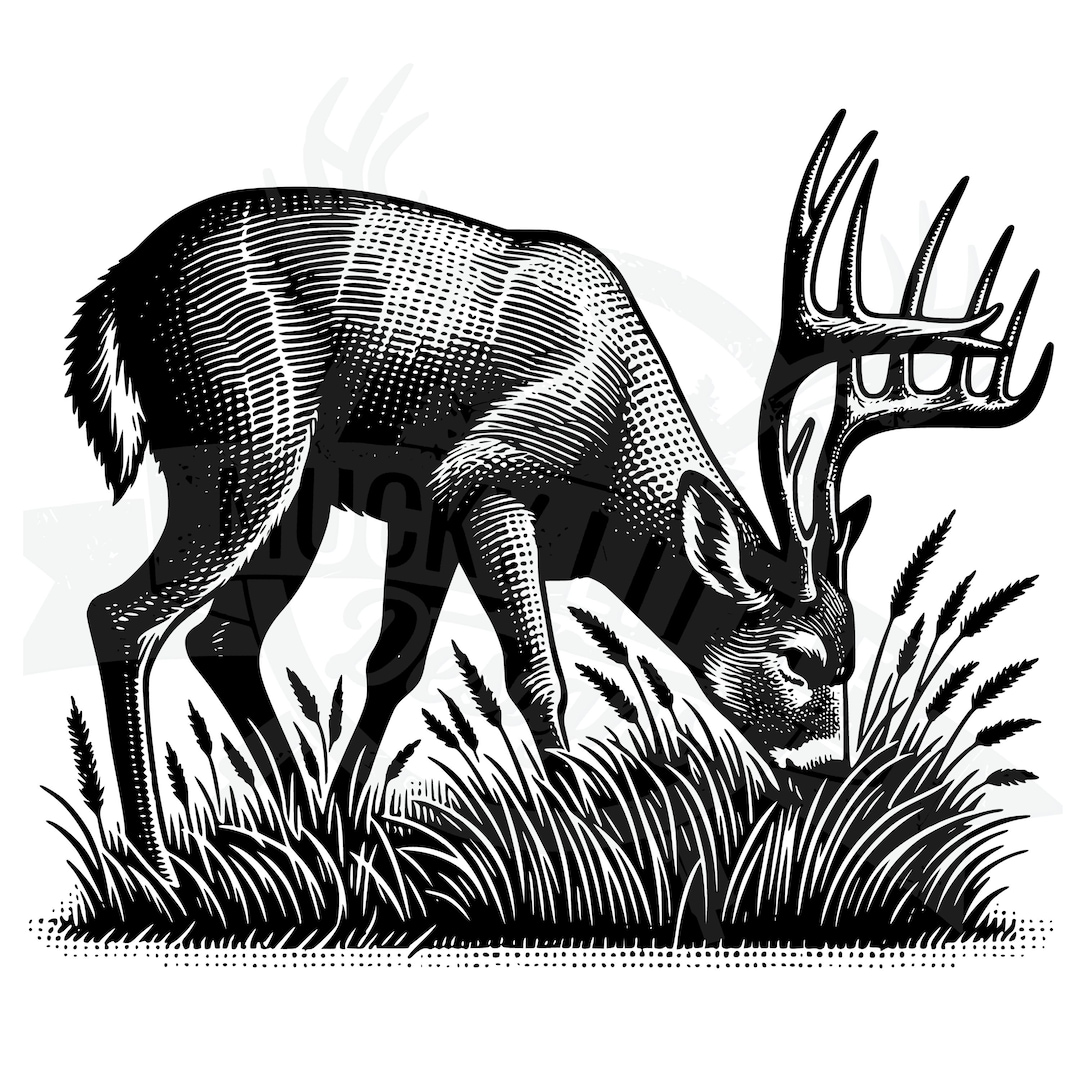 White Tailed Deer Eating Grass Svg, Buck SVG, Detailed Deer Svg ...