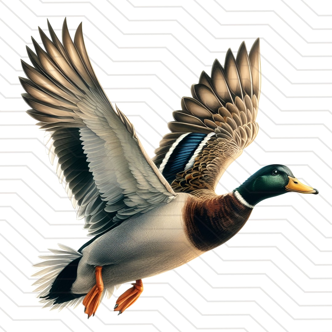 Flying Mallard Duck Sublimation: Duck Hunt PNG Clipart (digital ...