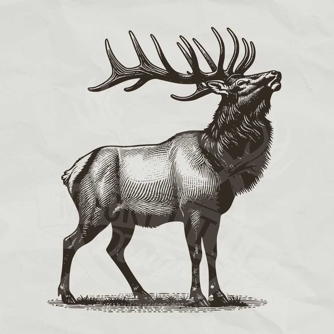 Bugling Bull Elk SVG: Hunting Laser Cut File (digital Download) - Etsy