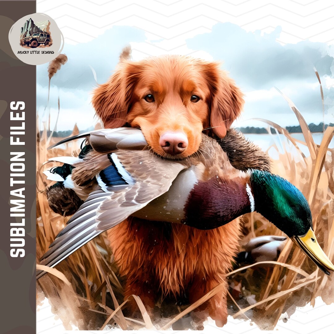 Duck Hunting Sublimation Design Duck Hunt Wall Art Nova Scotia Duck ...