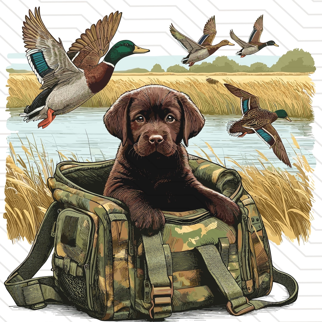 Duck Hunting Dog PNG: Labrador Puppy Sublimation (digital Download) - Etsy