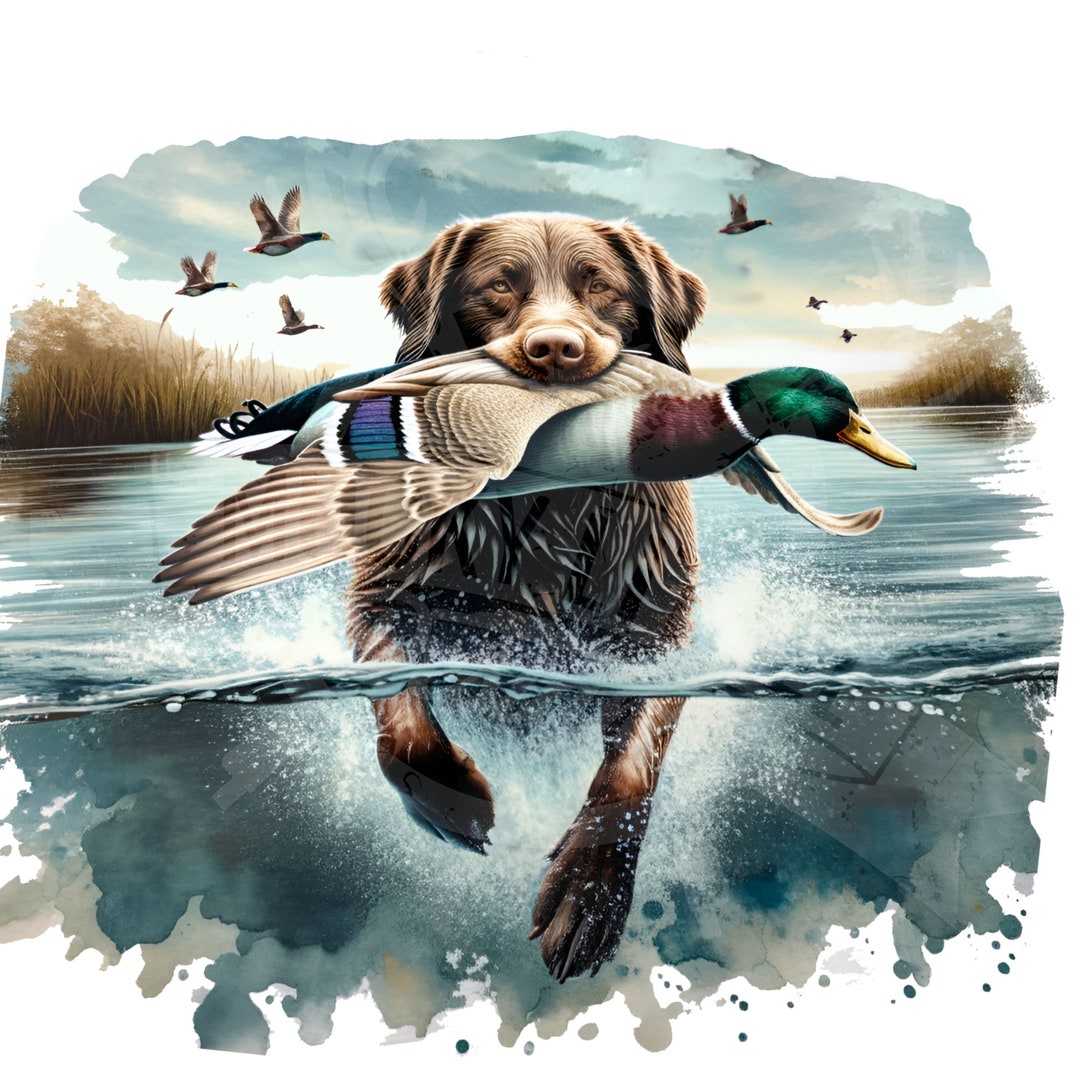 Duck Hunting Png Sublimation Duck Hunt Png Chocolate Labrador Gun Dog ...