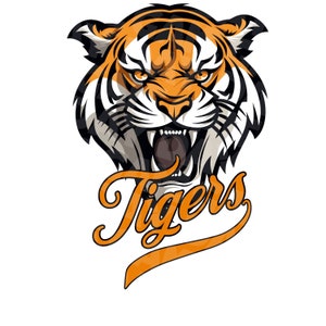 Tiger Spirit PNG Tiger Head Png L Tiger Shirt PNG Tiger Mascot Png ...