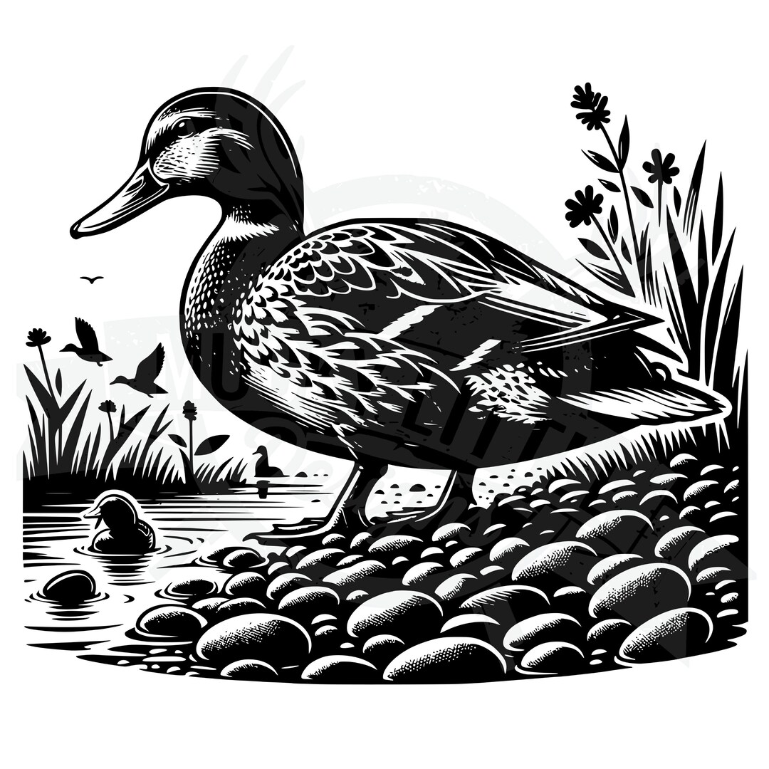 Feeding Ducks Svg Duck Hunting Svg Mallards Svg Mallard Hen Svg Duck ...