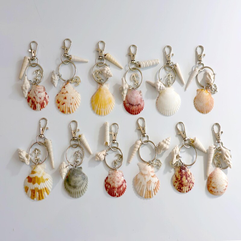 Seashell Favors - Etsy