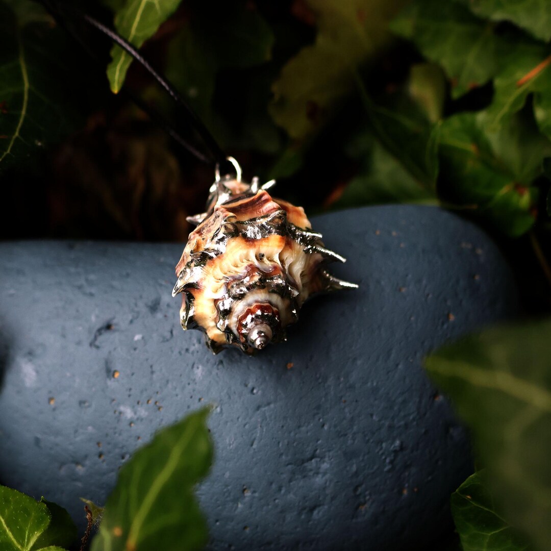 Real Florida King Crown Seashell Necklace, Unique Handmade Jewelry ...