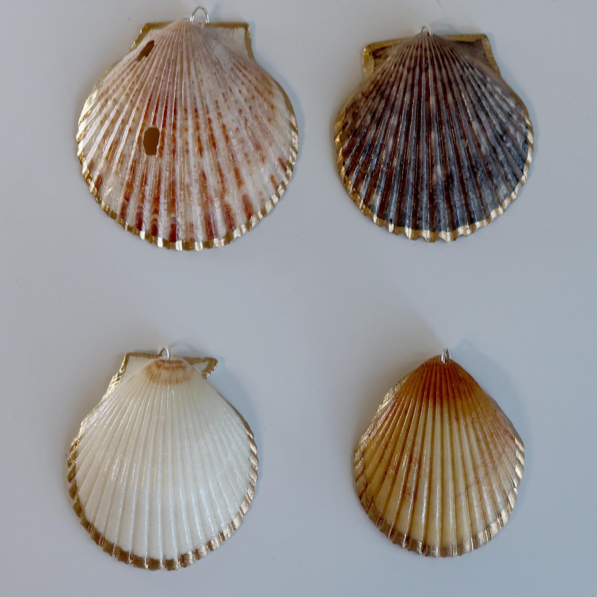Calico Scallop Shell Pendant, Real Seashell, Clam Shell Pendant ...