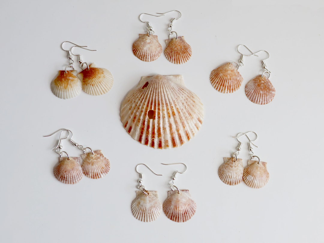 Calico Scallop Shell Earrings, Seashell Earrings, Scallop Dangle ...