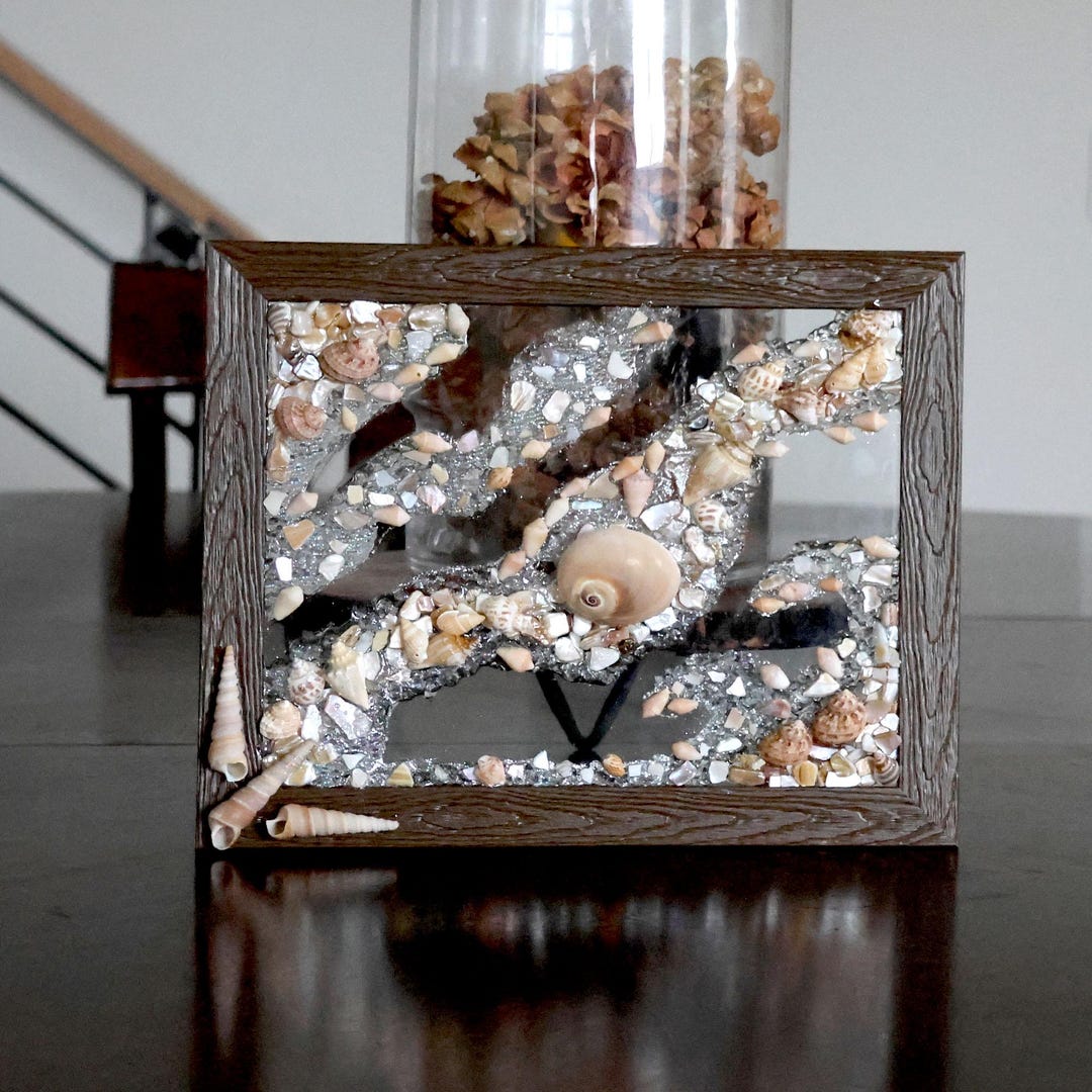 Shark Eye Shell Art, Seashell Crushed Glass, Coastal Sea Glass Art ...