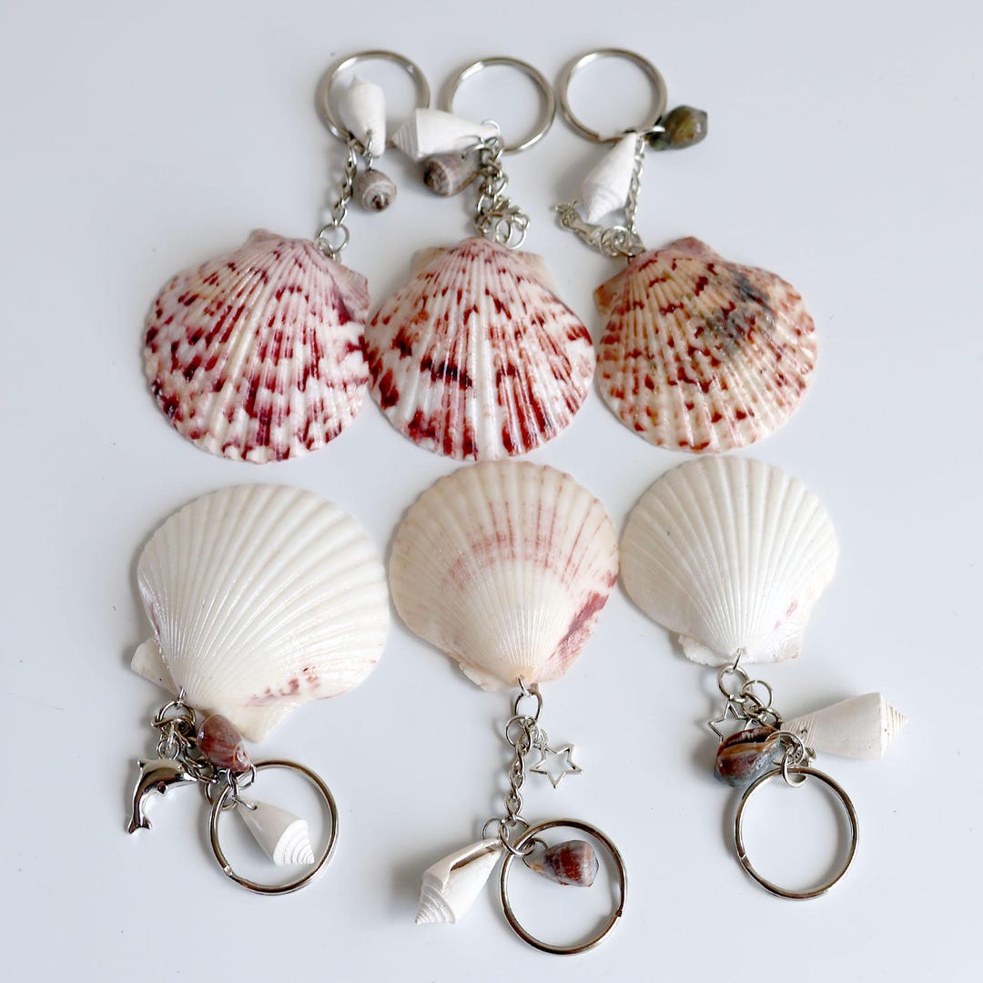 Large Calico Scallop Seashell Keychain, Seashell Keyring With ...