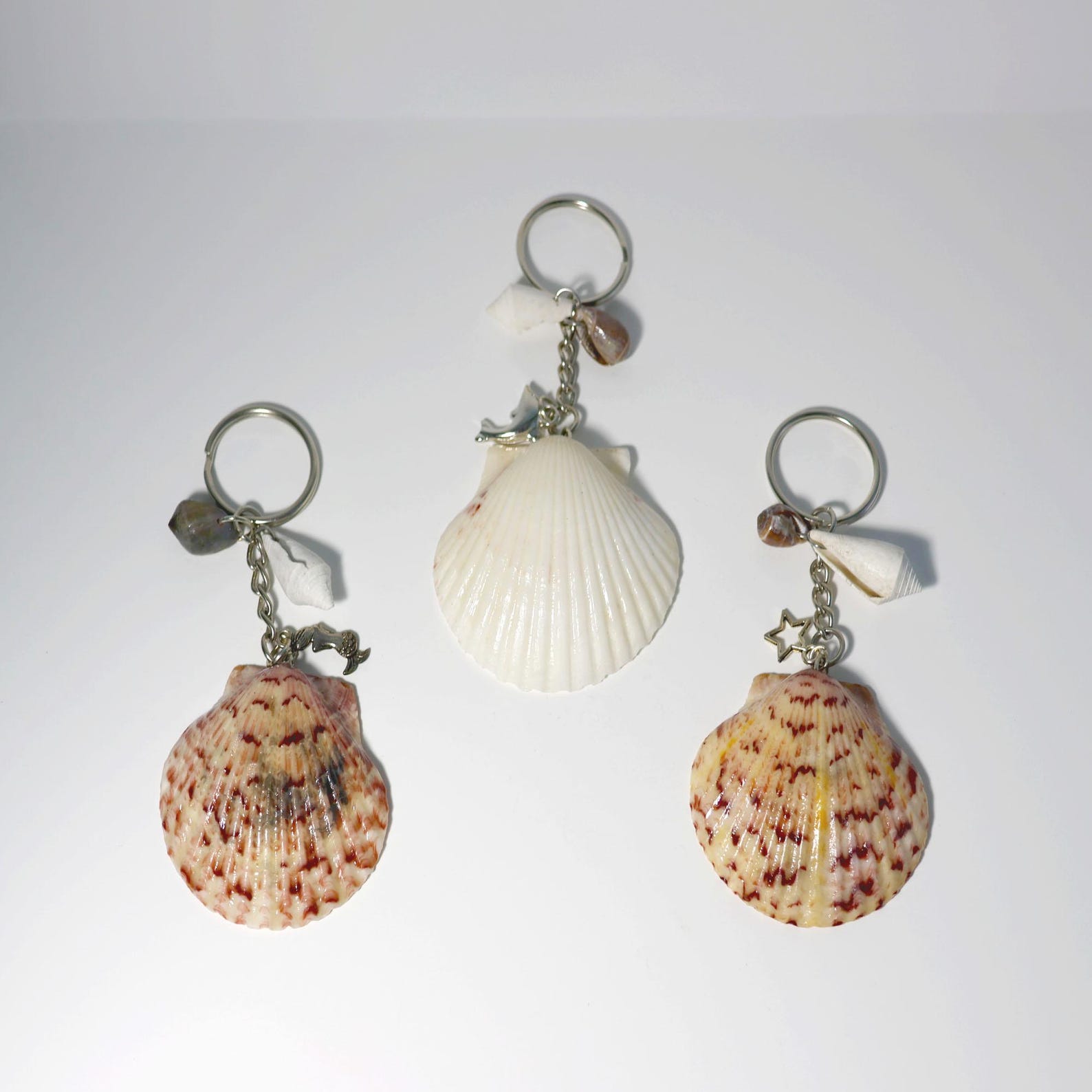 Calico Scallop Seashell Keychain: Ocean Charms, Sea Lover Gift - Etsy