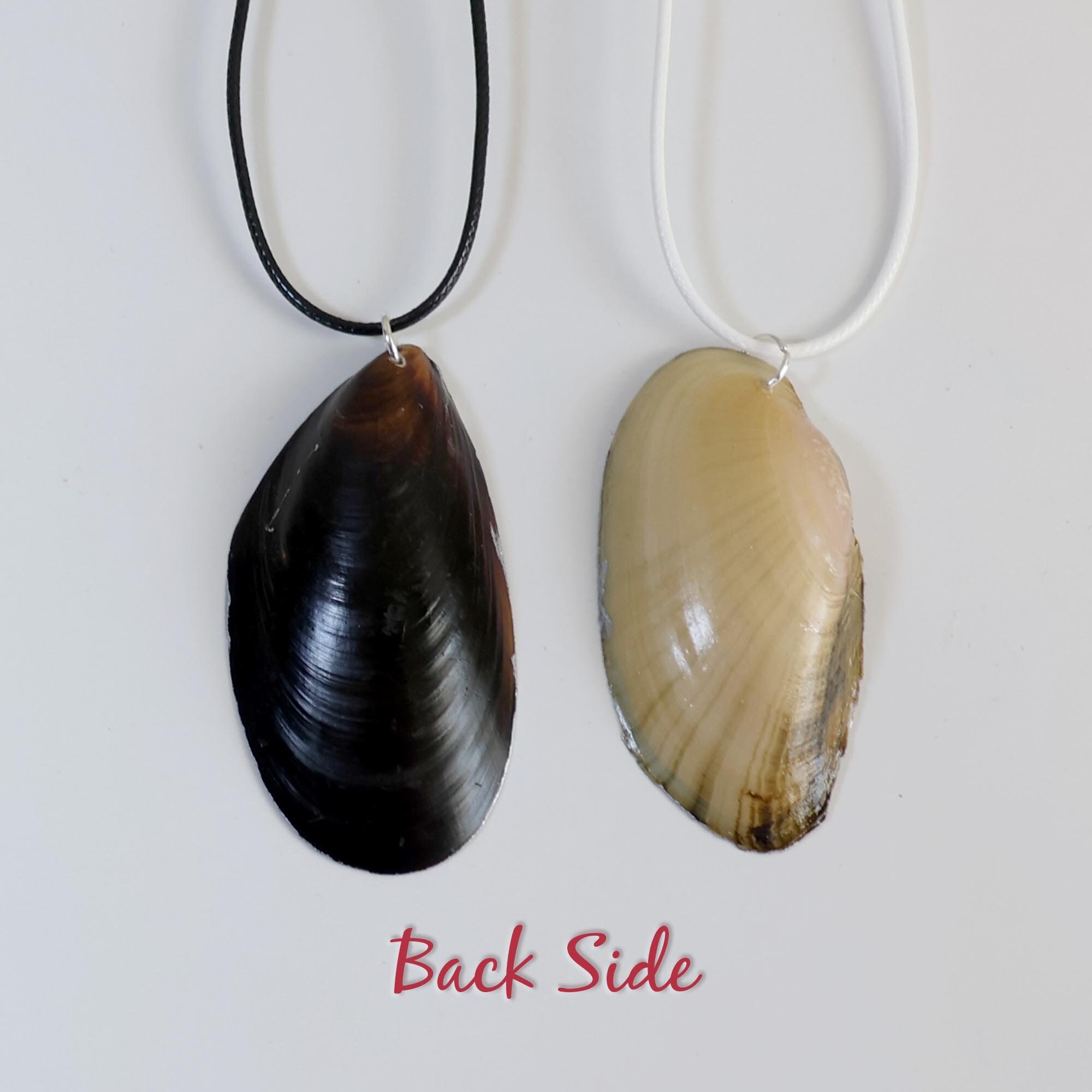 Mussel Necklace, Blue Mussel Seashell, Freshwater Pearl Mussel Shell ...