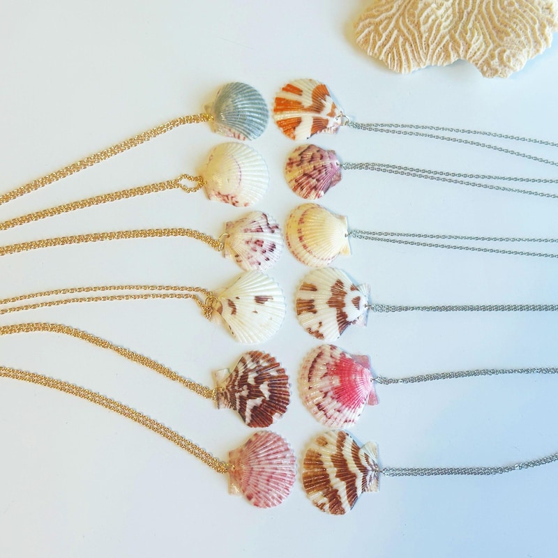 Real Seashells - Etsy