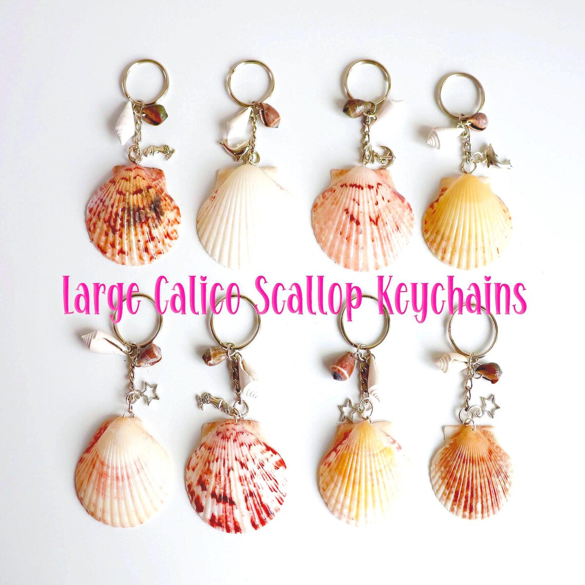 Calico Scallop Seashell Keychain: Ocean Charms, Sea Lover Gift - Etsy