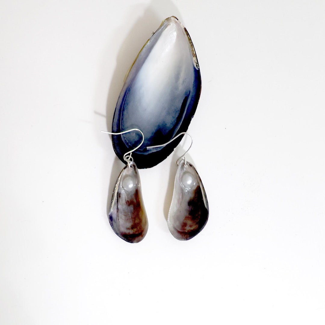 Mussel Seashell Earrings, Florida Shells Wild Mussels, Seashell Jewelry ...