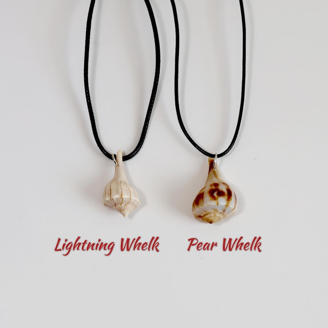 Lightning Welk Shell Necklace, Pear Whelk Seashell Necklace, Beach ...