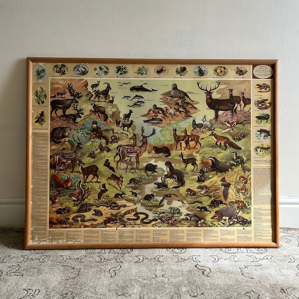 Wildlife Poster - Etsy UK