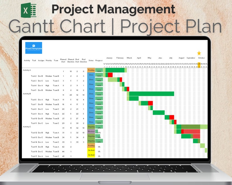 Gantt Chart & Project Plan Project Management Template Microsoft Excel ...