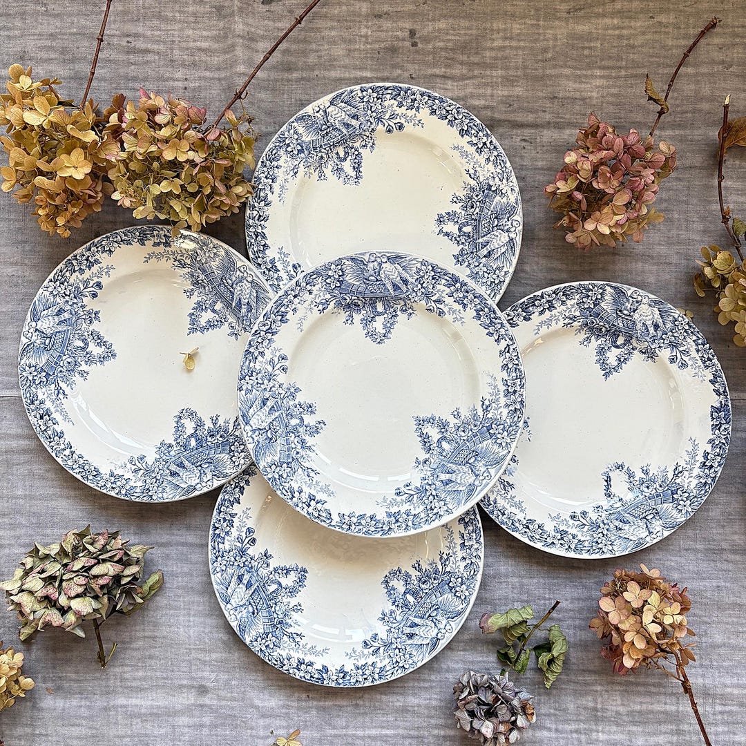 Magnificent Set of 5 Saint Amand Ironstone Dessert Plates, Colombier ...