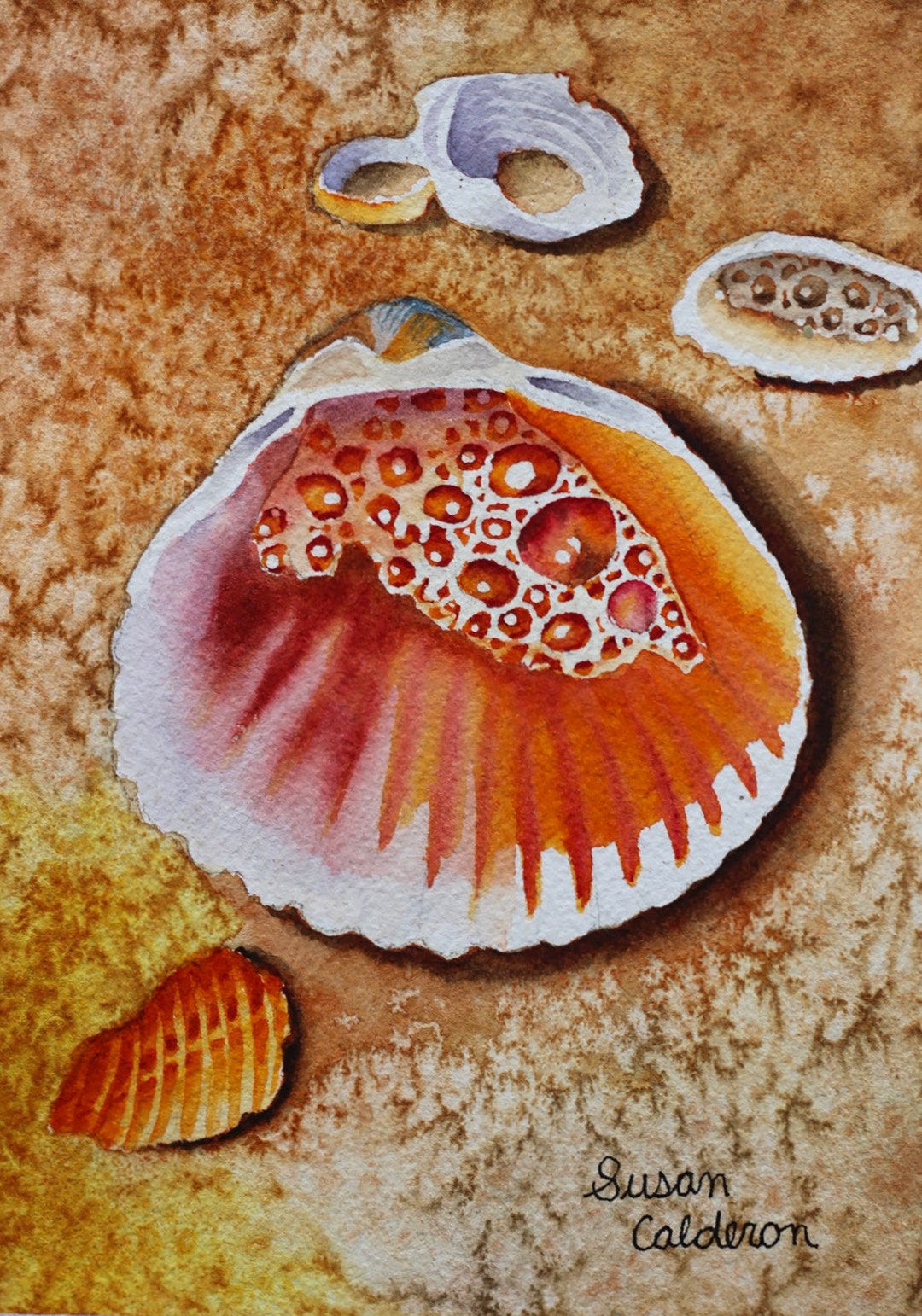Shell With Bubbles - Etsy