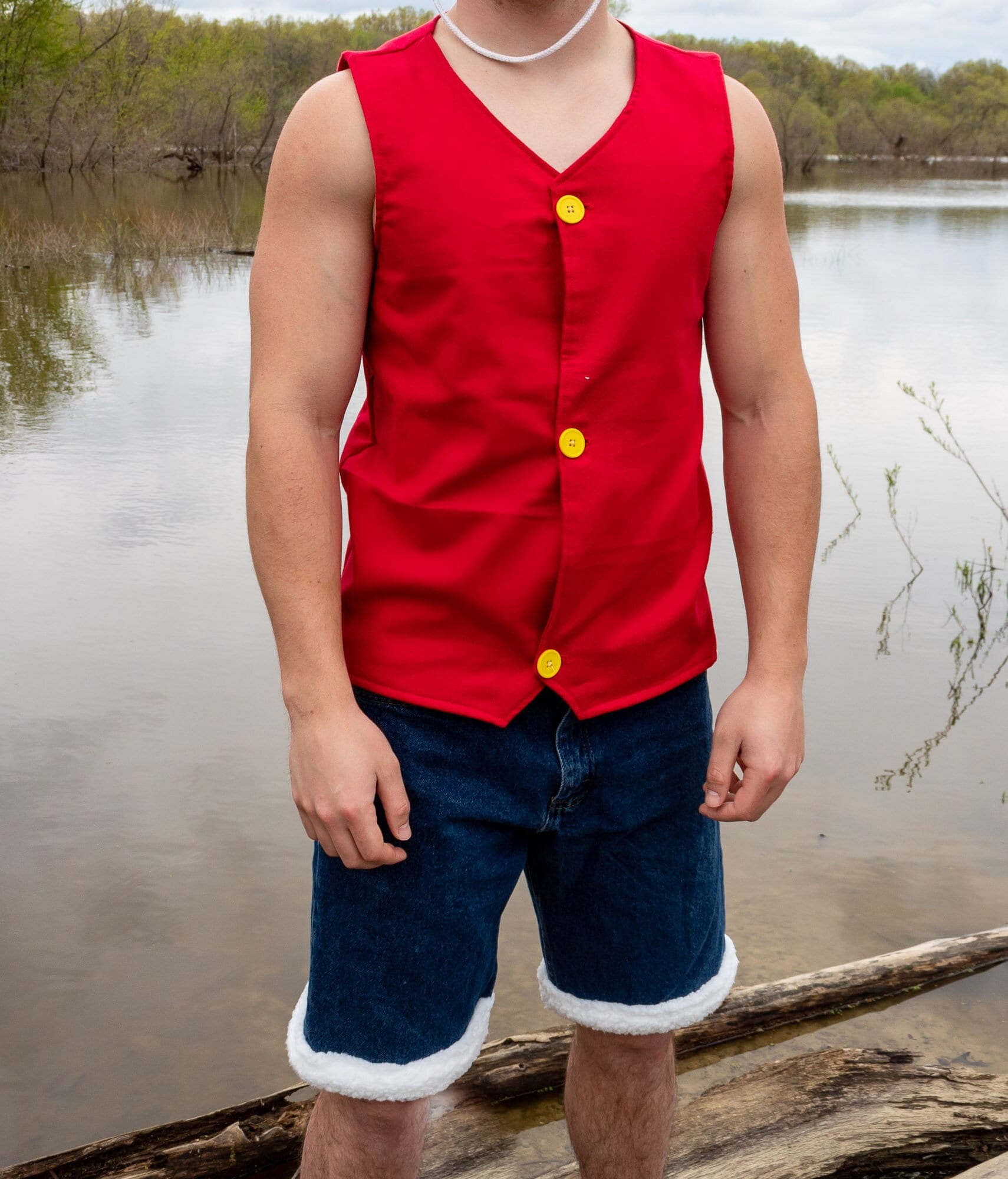 Luffy Time Skip Cosplay