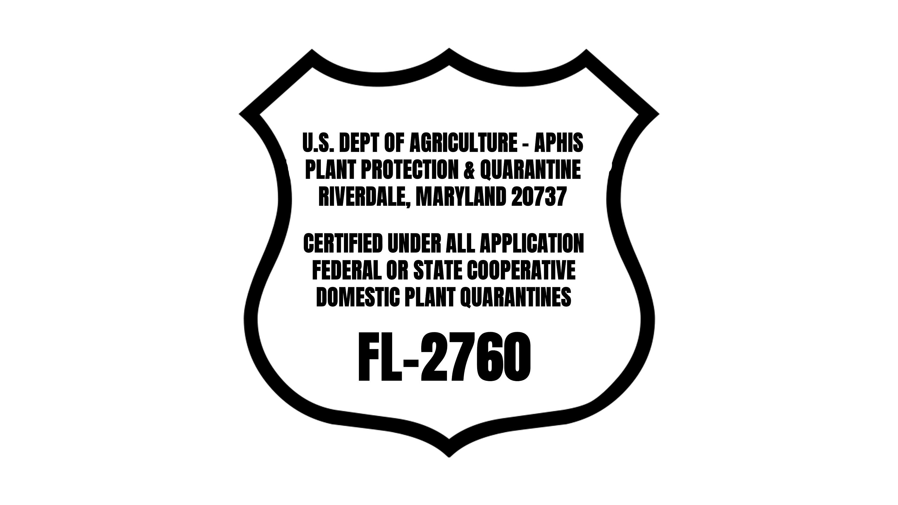 Exotic FLAMINGO Hybrid Plumeria Plant Rooted Rare & Exclusive From the ...