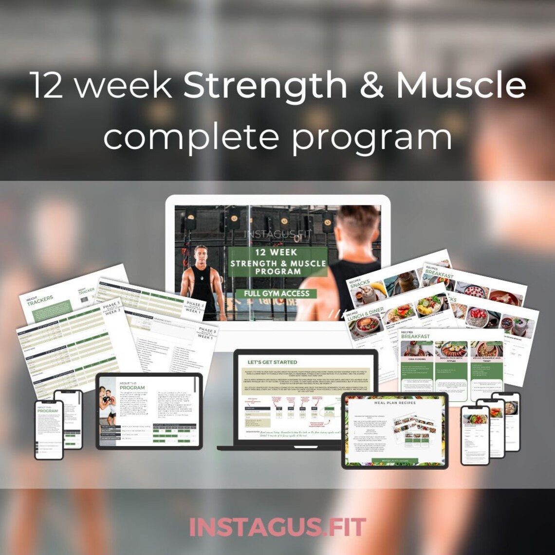 12 Week STRENGTH & MUSCLE Complete Program - Etsy