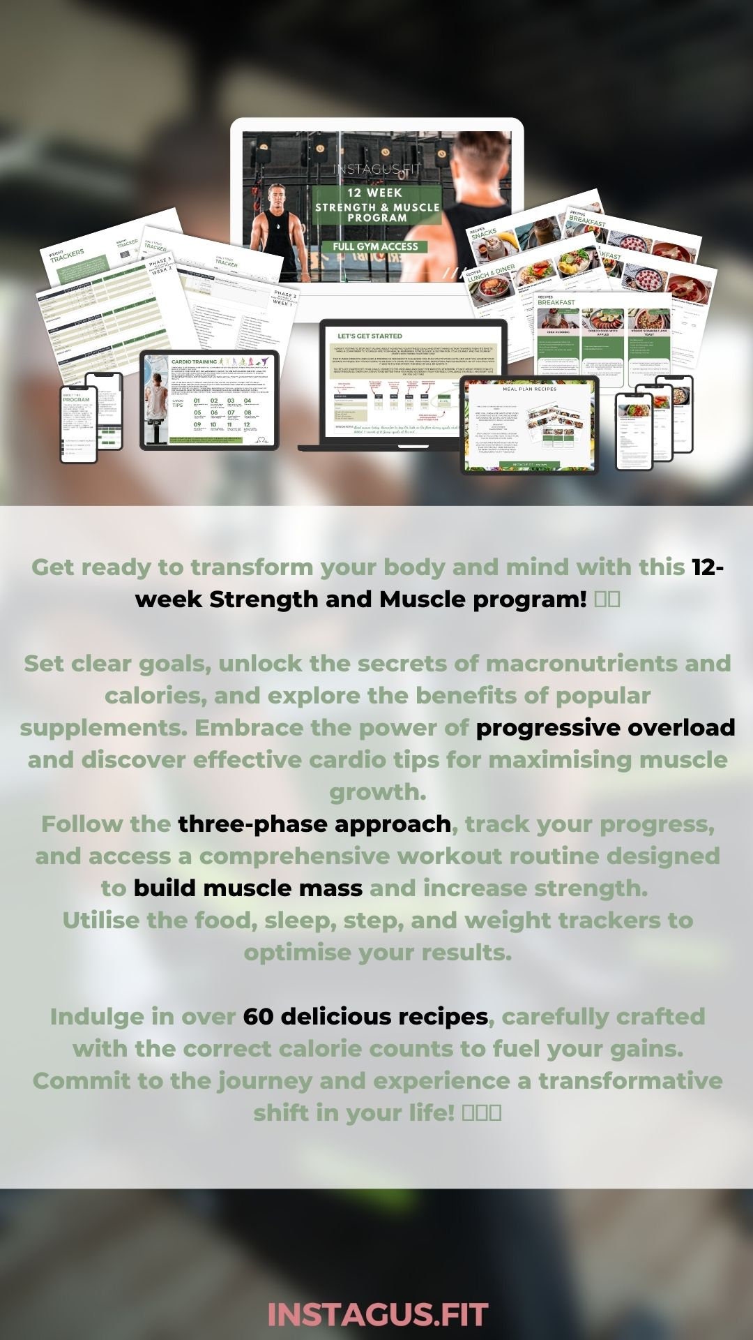 12 Week STRENGTH & MUSCLE Complete Program - Etsy