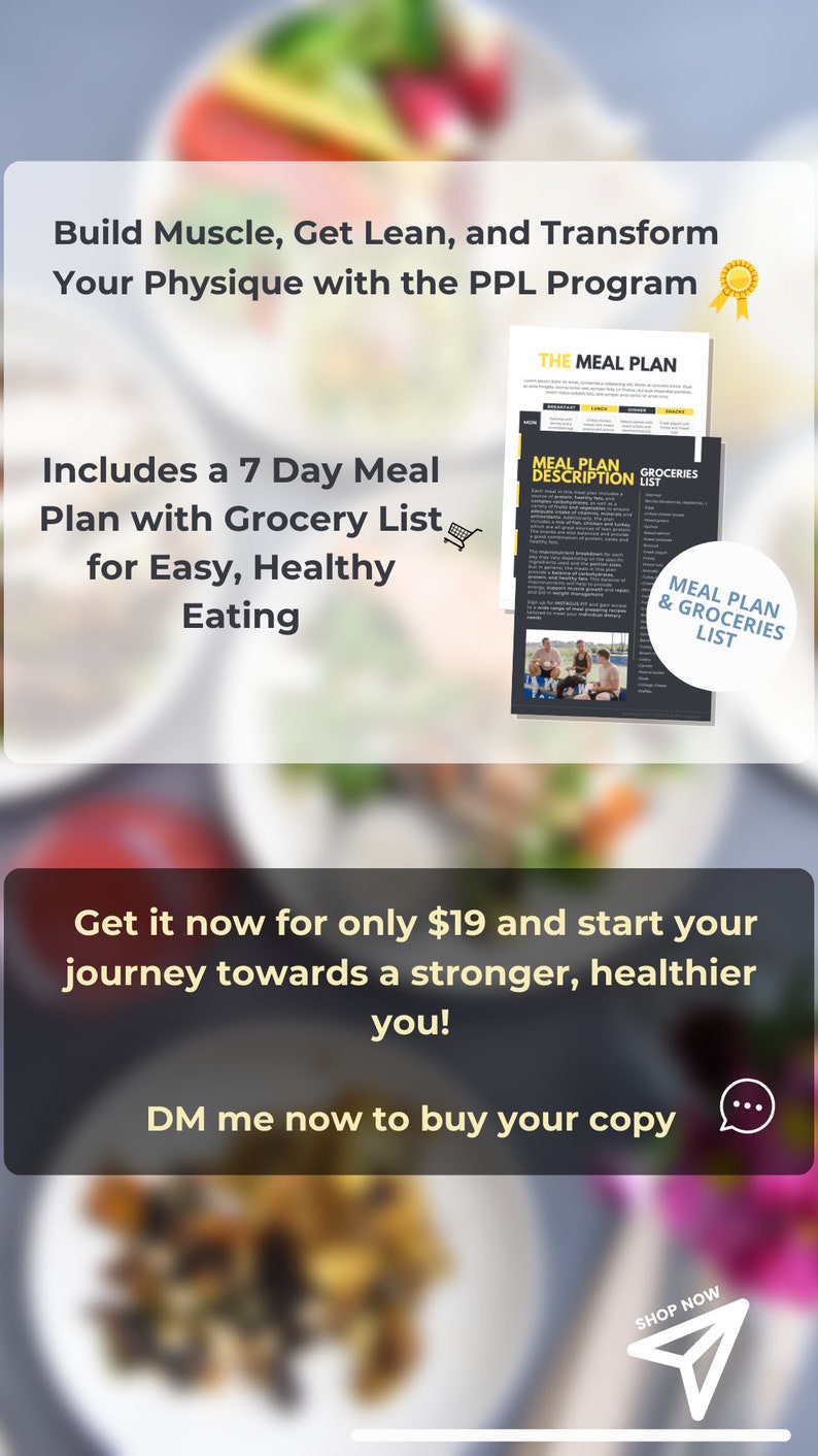 2 WEEKS Push-pull-legs Program - Etsy