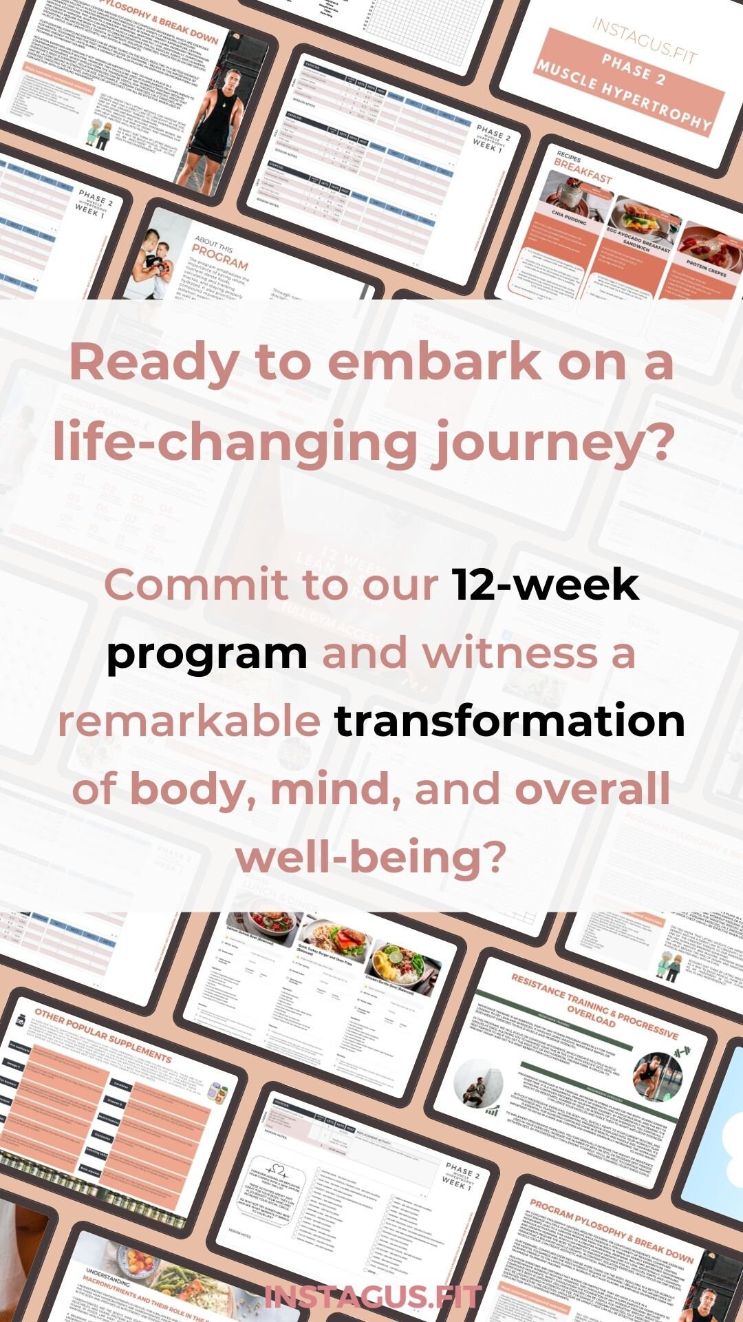 12 Week LEAN & SHRED Complete Program - Etsy