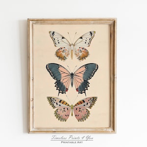 Butterfly Print Butterfly Art Print Butterfly Prints Butterfly Wall Art ...