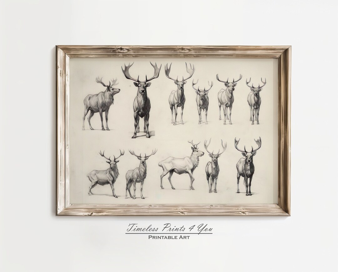 Reindeer Print, Deer Art Print, Reindeer Sketch, Vintage Reindeer, Deer ...